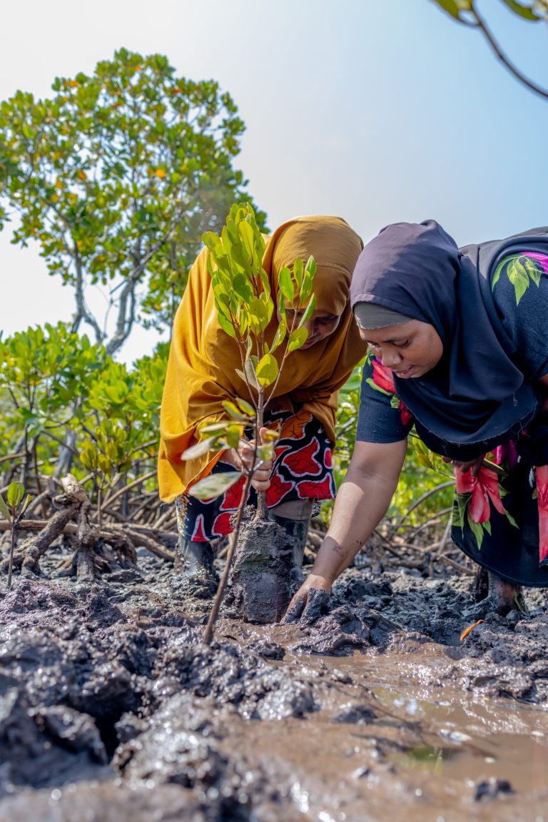 Kenya Forest Service and The Nature Conservancy sign agreements for ...